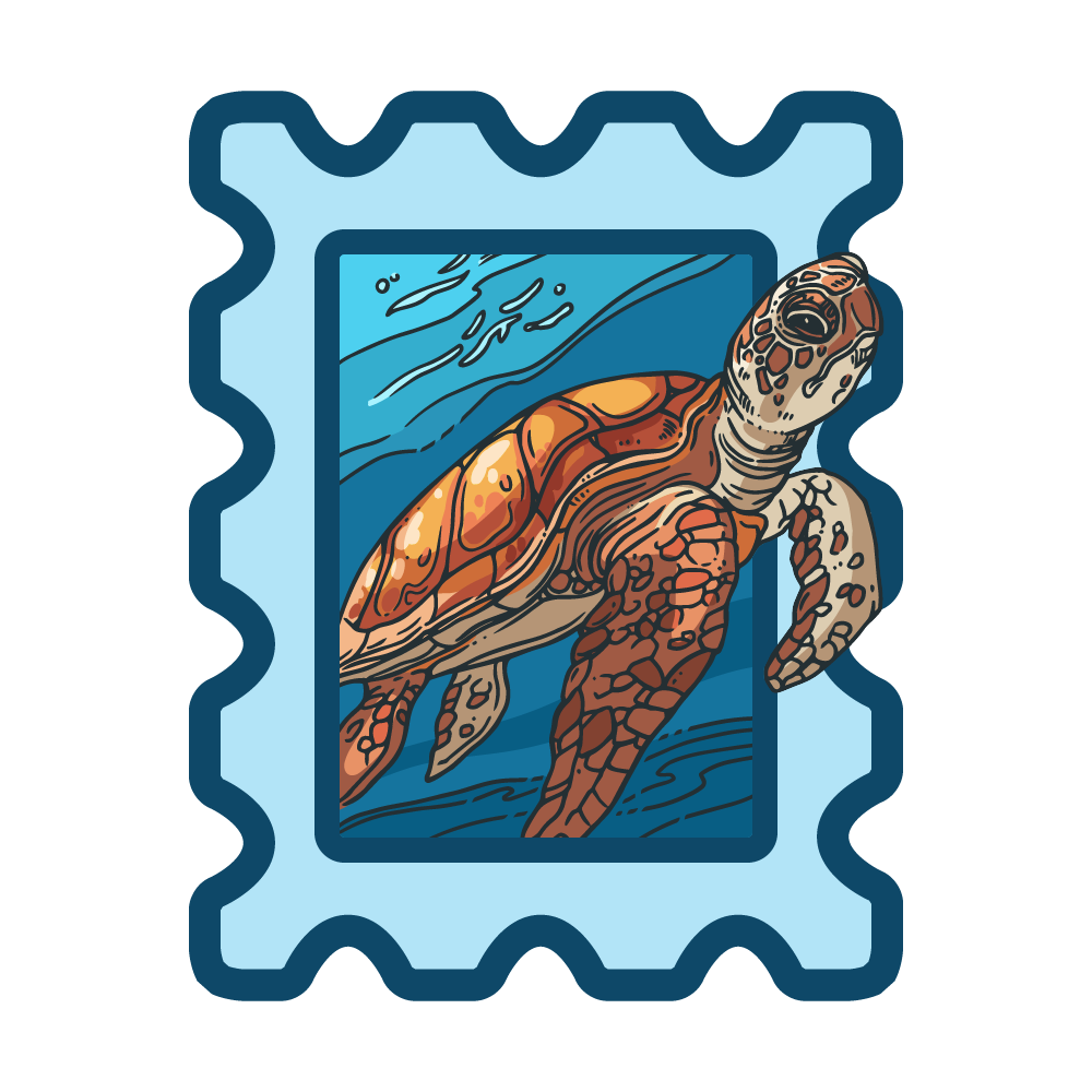 Turtle Rubber Stamp Tropcal Sea Turtle Stamp Sealfe Stamp | Etsy